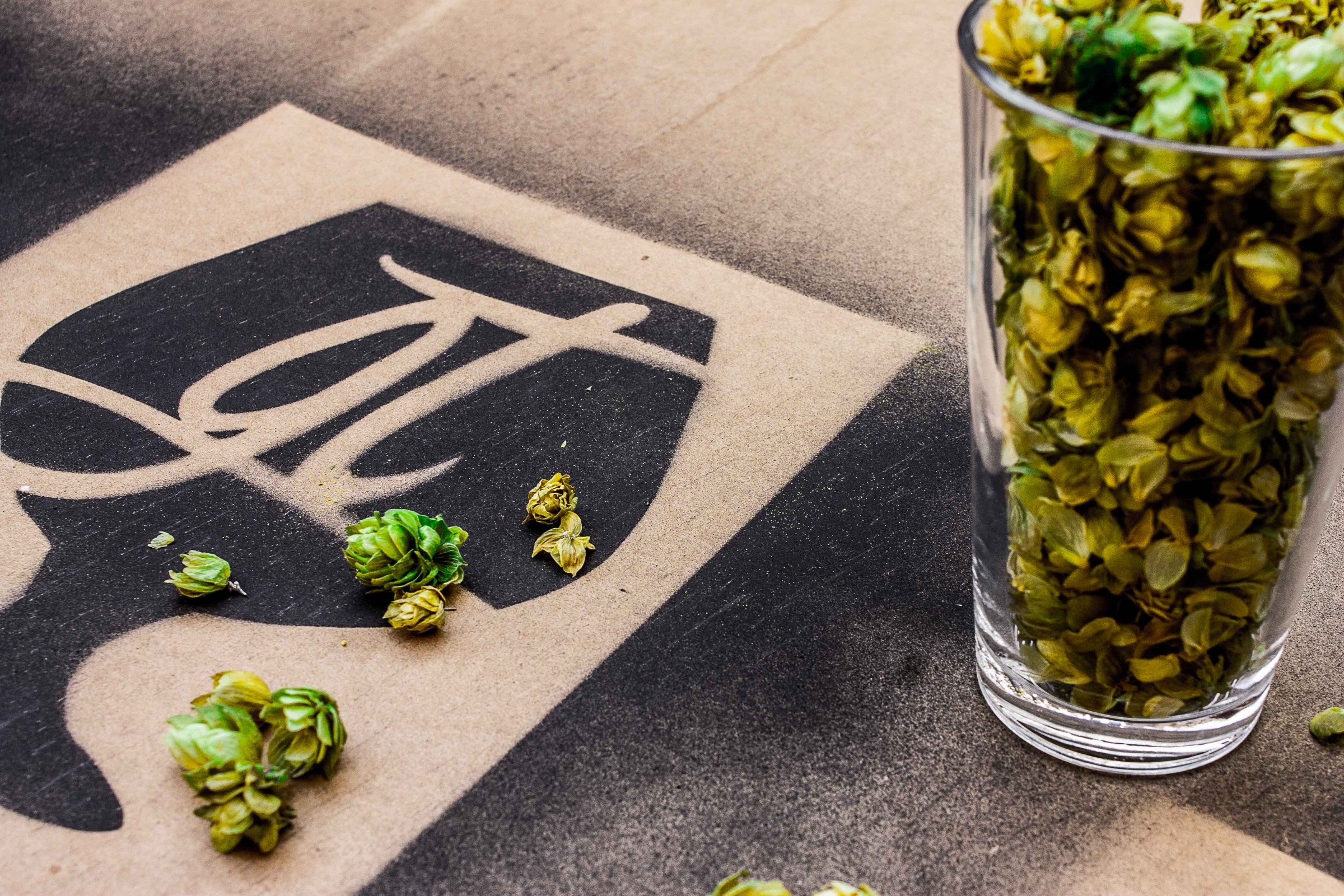 Home - Good Times Brewing